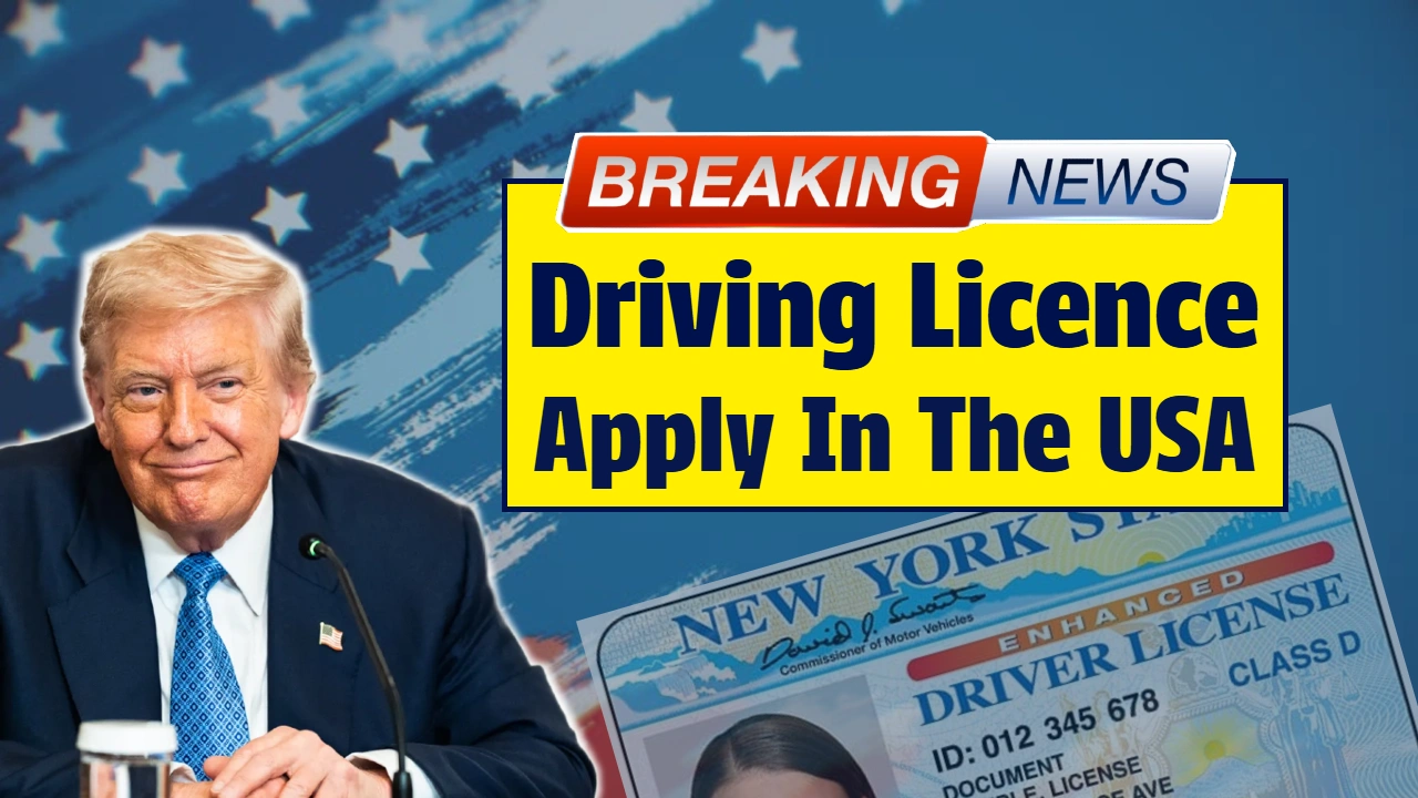 Driving Licence Apply In The USA 2025: New Eligibility Requirements ...